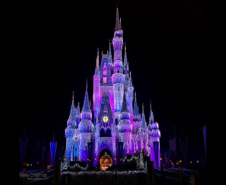 Finecables Enterprise Co., Ltd.